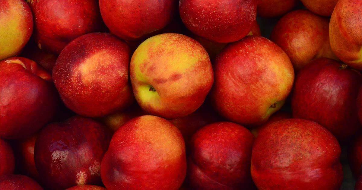 Fructoseintoleranz: Symptome & Ernährung | ottonova